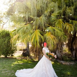 BB BRIDAL - 304 Photos & 345 Reviews - 5152 Moorpark Ave, San Jose ...