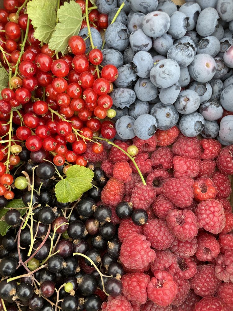 PANGBORN FARMS - Updated July 2025 - 19 Photos - 2450 Pangborn Rd ...