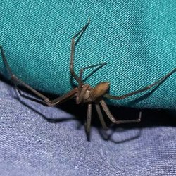 ISSAQUAH PEST CONTROL - 26 Photos & 259 Reviews - 1315 NW Mall St ...