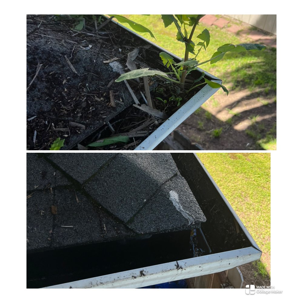 T & J WINDOW CLEANING PLUS - Updated October 2025 - 14 Photos - Bella Vista, California - Window ...