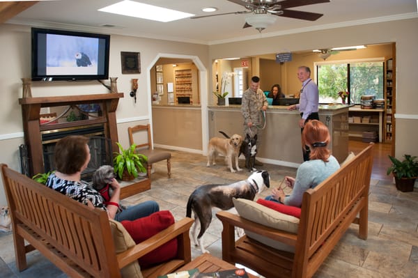 THE COUNTRY VET - Updated June 2026 - 43 Photos & 130 Reviews - 511 ...
