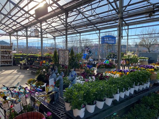 WILCO FARM STORE - NEWBERG - Updated December 2025 - 20 Photos & 26 ...