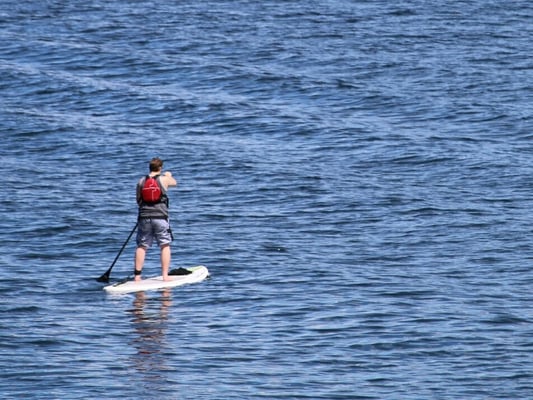 ELD INLET - Updated October 2025 - 11 Photos - Olympia, Washington ...