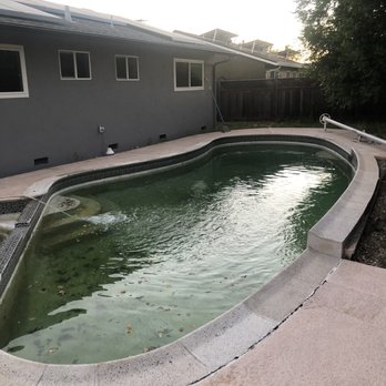 POOL WHIP PROS - Updated June 2024 - 93 Photos & 144 Reviews - Concord ...