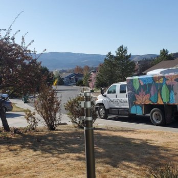 NOAH’S PARK TREE CARE - Updated December 2025 - 50 Photos & 46 Reviews ...