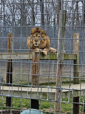 TIGER WORLD - Updated December 2025 - 449 Photos & 120 Reviews - 4400 ...