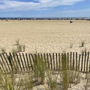 DAUNTLESS - Updated December 2025 - 47 Broadway, Point Pleasant Beach ...