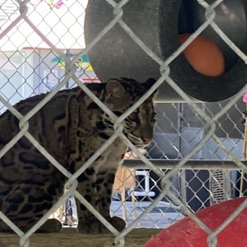 MCCARTHY’S WILDLIFE SANCTUARY - Updated January 2025 - 369 Photos & 194 ...