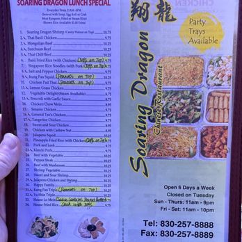 SOARING DRAGON - Updated December 2025 - 88 Photos & 227 Reviews - 820 ...