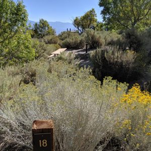 SILVER LAKE CAMPGROUND - 47 Photos & 28 Reviews - CA-158 June Lake Lp ...