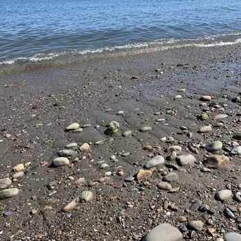 Are Dogs Allowed At Sandy Point Beach