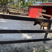 PINTO’S FARM - 323 Photos & 105 Reviews - Venues & Event Spaces - 14890 ...