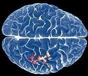 THE SECRET SCIENCE CLUB - Updated December 2025 - 14 Reviews - 149 7th ...