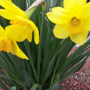 CANTIAGUE PARK - Updated July 2025 - 51 Photos & 30 Reviews - 480 W ...