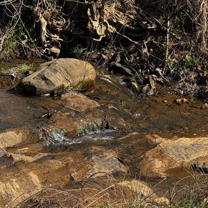 LAKE WINDS GOLF COURSE - Updated December 2025 - 1807 Moores Mill Rd ...