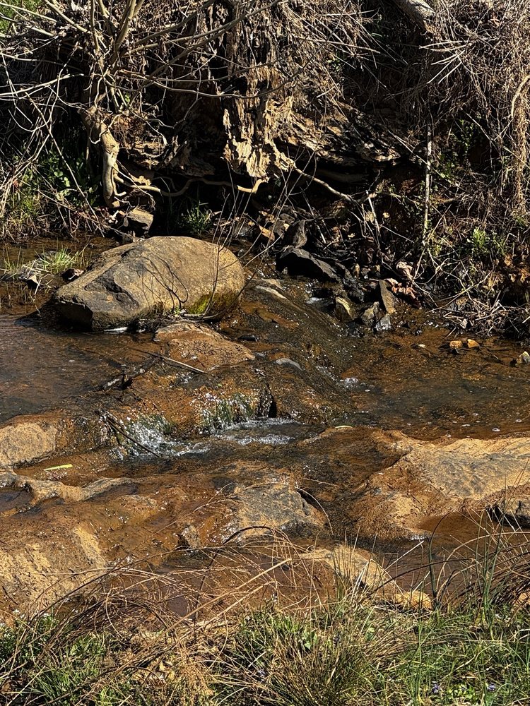 CHALLENGE GOLF CLUB - Updated January 2026 - 19 Photos & 10 Reviews ...