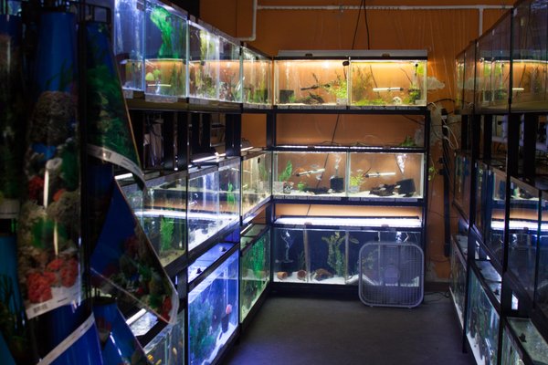 BIG RIVER PETS - Updated January 2025 - 34 Photos & 18 Reviews - 1374 ...