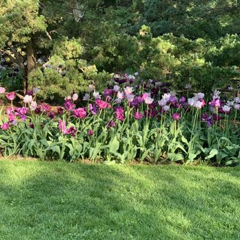 BOTANICA, THE WICHITA GARDENS - Updated March 2025 - 167 Photos & 51 ...