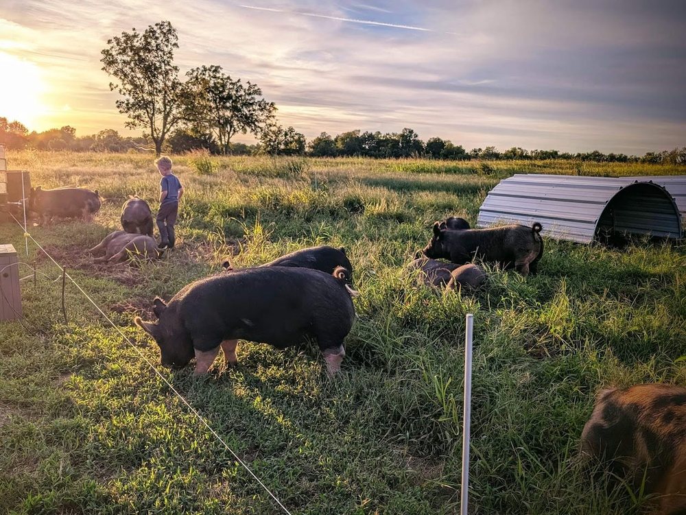 STAPLES FARM - Updated November 2025 - 331172 E Hwy 62, Harrah ...