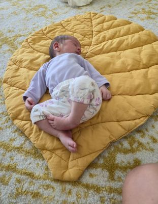 NEW MOM SCHOOL - Updated April 2026 - 19 Reviews - 880 Hampshire Rd ...