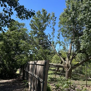 WICHITA TREE SERVICE - Updated May 2026 - 50 Photos & 19 Reviews - 6111 ...