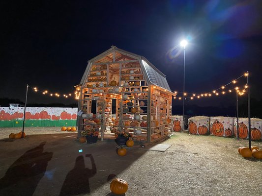 ORR FAMILY FARM - Updated October 2025 - 214 Photos & 82 Reviews ...