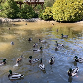 MAPLEWOOD FARM - Updated May 2024 - 252 Photos & 44 Reviews - 405 ...