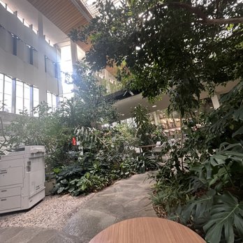 DOWNTOWN RENO LIBRARY - Updated December 2025 - 86 Photos & 39 Reviews ...