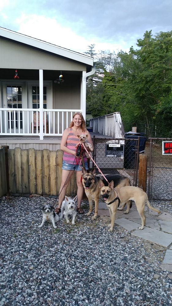KIM’S PUPPY PALACE - Updated June 2025 - Sedona, Arizona - Pet Boarding ...