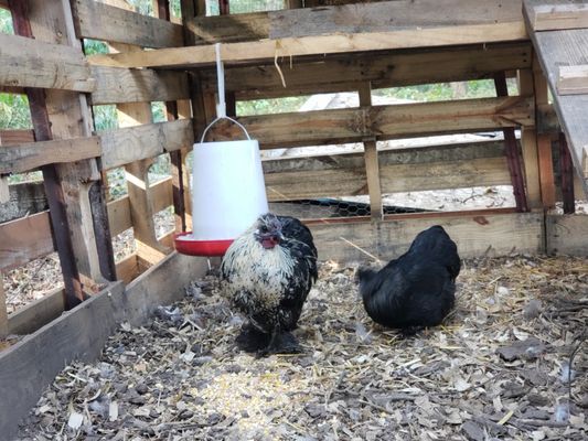 DELANO FARM MARKET - Updated December 2025 - 73 Photos & 65 Reviews ...