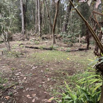 KALOPA STATE PARK - Updated December 2025 - 29 Photos & 12 Reviews - 44 ...