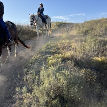 CALIFORNIA RANCH COMPANY - Updated December 2025 - 261 Photos & 39 ...