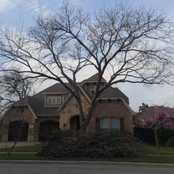 AFFORDABLE TREE CARE - 36 Photos & 19 Reviews - 13904 Josey Ln, Dallas ...