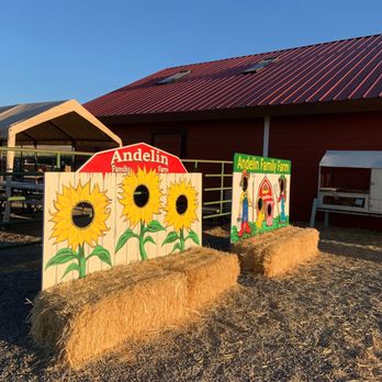 ANDELIN FAMILY FARM - Updated September 2025 - 527 Photos & 128 Reviews ...