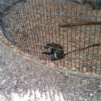 THE ZOO IN FOREST PARK & EDUCATION CENTER - Updated December 2025 - 95 ...