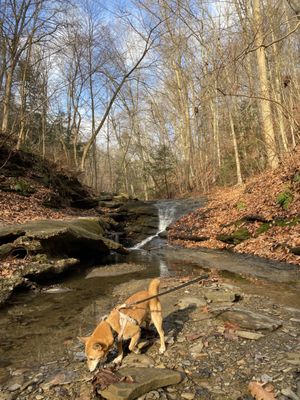 FALL RUN PARK - 76 Photos & 18 Reviews - 187 Falls Run Trl, Glenshaw ...