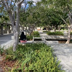 MIAMI DADE COLLEGE KENDALL CAMPUS - 149 Photos & 60 Reviews - Colleges ...