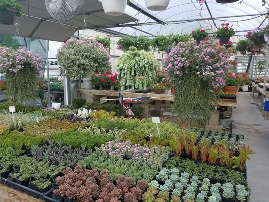 NELSON’S FLOWERS - Updated December 2025 - 430 River Park Rd, Loves ...