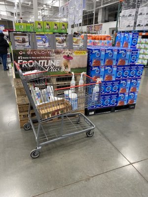 COSTCO WHOLESALE - Updated March 2025 - 39 Photos & 65 Reviews - 9691 ...