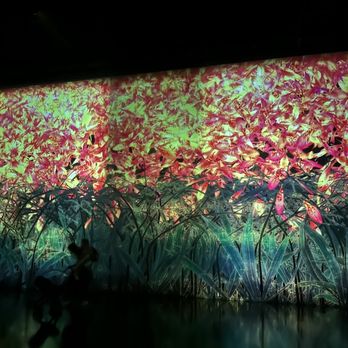 SUPERBLUE MIAMI - Updated January 2025 - 755 Photos & 211 Reviews ...