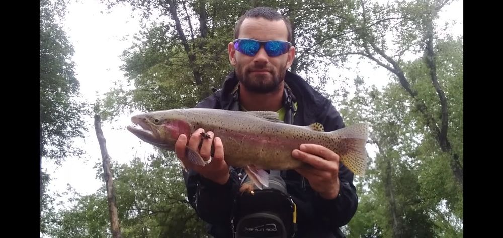 TROUT ON FLIES - Redding, California - Fishing - Phone Number - Yelp
