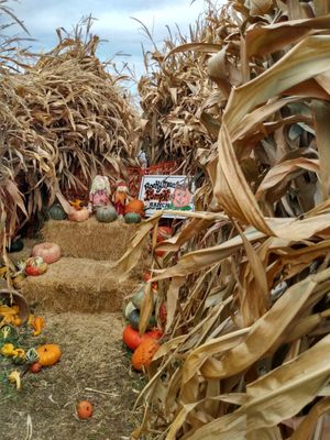 ROCKY MOUNTAIN PUMPKIN RANCH INC - Updated September 2025 - 16 Photos ...
