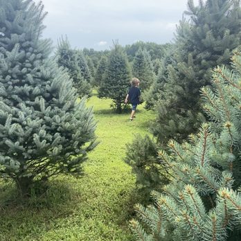 SNEADS FARM - Updated December 2025 - 91 Photos & 41 Reviews - 18294 ...