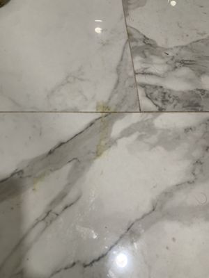 ARS / RESCUE ROOTER - Updated December 2025 - 88 Photos & 668 Reviews ...