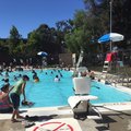 STONER PARK POOL - Updated October 2025 - 52 Photos & 64 Reviews - 1835 ...