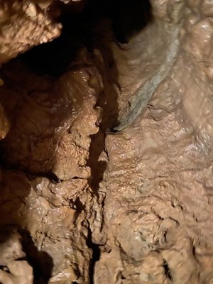 EAGLE CAVE - Updated June 2024 - 43 Photos - 16320 Cavern Ln, Blue ...