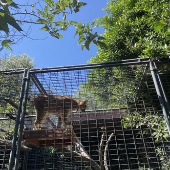 WILDLIFE LEARNING CENTER - Updated September 2024 - 1384 Photos & 679 ...