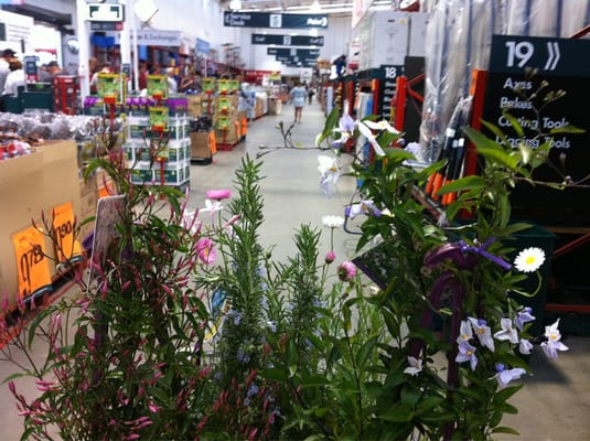 BUNNINGS WAREHOUSE - Updated October 2025 - 16 Photos - Cnr Scarborough ...