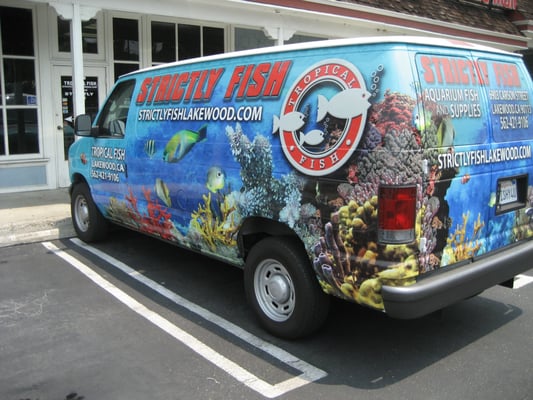 STRICTLY FISH - 100 Photos & 235 Reviews - 6903 Carson St, Lakewood ...