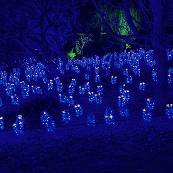 LIGHTSCAPE SAN DIEGO - Updated October 2025 - 250 Photos & 59 Reviews ...